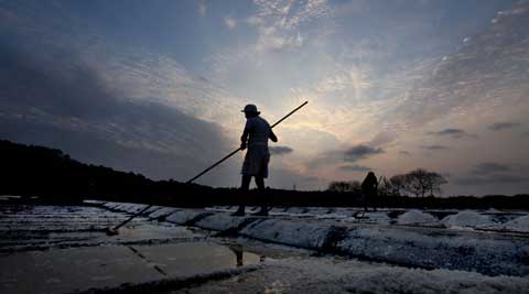‘1,672 acres of salt pan land available for development’ | Mumbai News ...