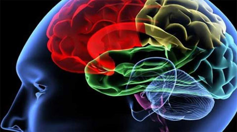 How brain pays attention decoded | Technology News - The Indian Express