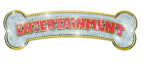 It’s Entertainment will now be called Entertainment | Screen News - The ...