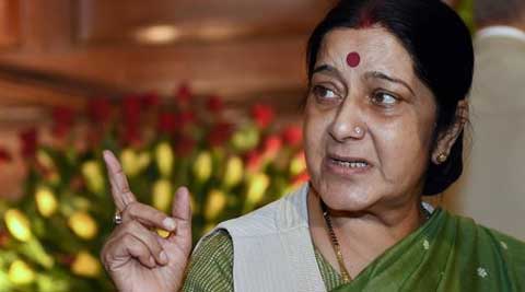 Chinese Takeaway: Sushma in Nepal | The Indian Express