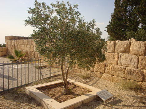 Jordan: The Other Holy Land | Destination-of-the-week News - The Indian ...