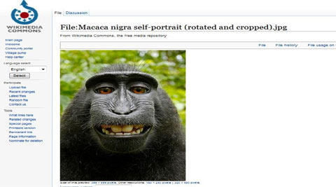 Monkeys take ‘selfies,’ sparking copyright dispute | Technology News ...