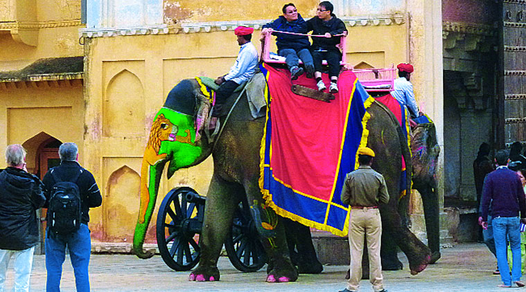 Elephants can remember: How we reduce the mighty beast to subservience ...