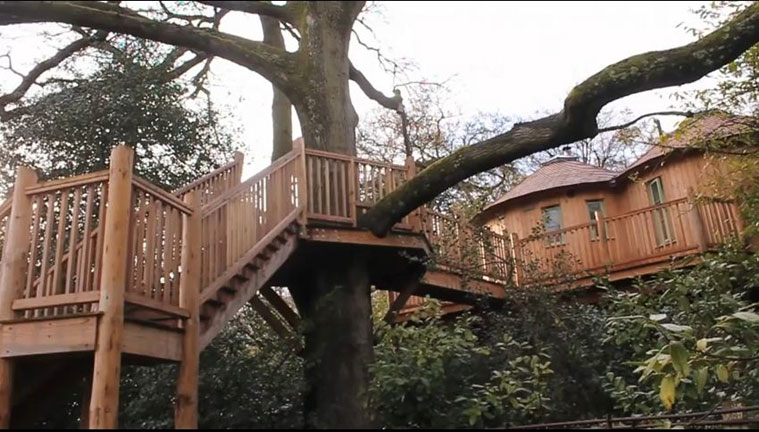 From tree house to bubble dwelling: Five fab ideas to live closer to ...