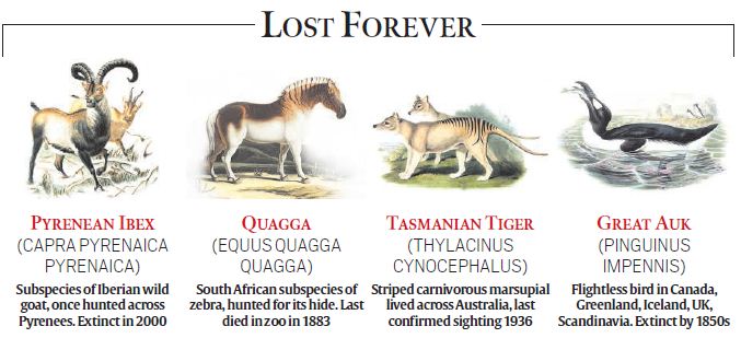 Mass extinction: This time, we are the volcanoes, asteroids | Explained ...