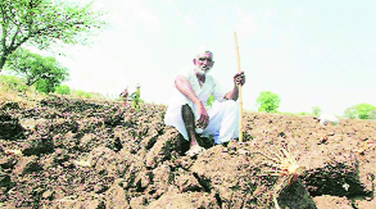 Drought distress: Winter of discontent for Madhya Pradesh farmers ...