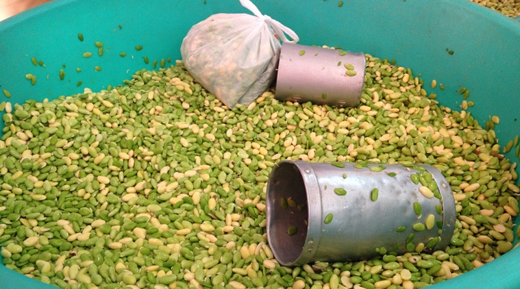 In Bengaluru, an ode to broad beans at the Avarekai Mela | Food-wine ...