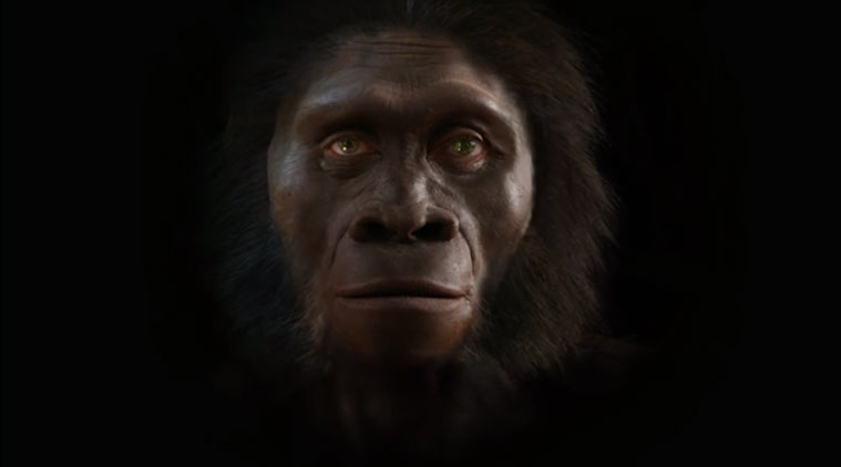 Watch: The evolution of man’s face over 6 million years, in under 2 ...