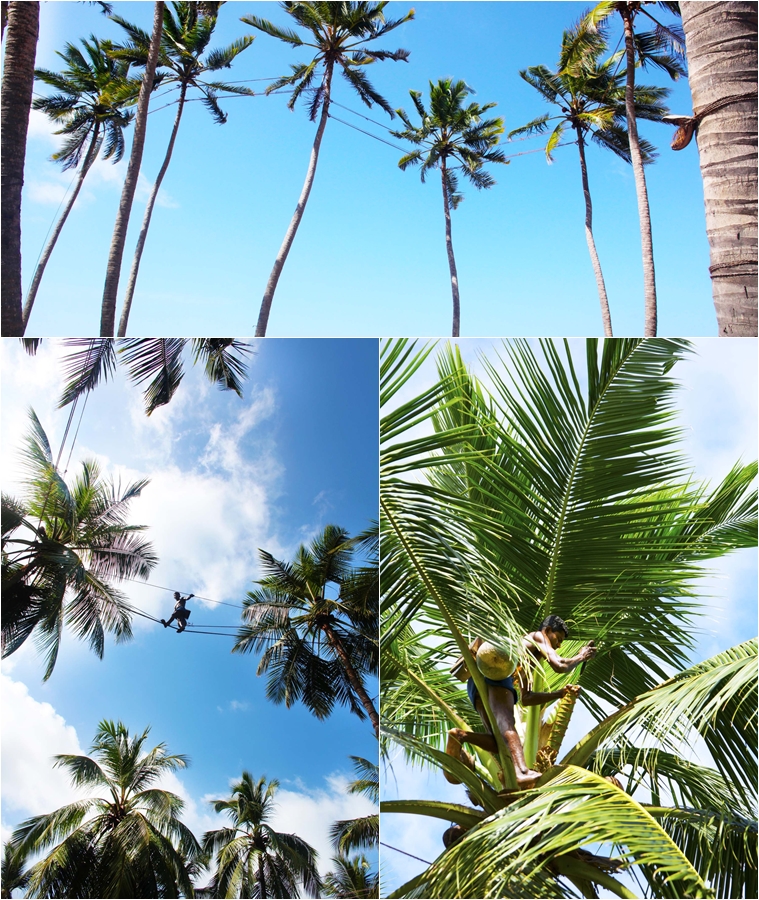 Artisanal arrack: The one thing you should get back from Sri Lanka ...