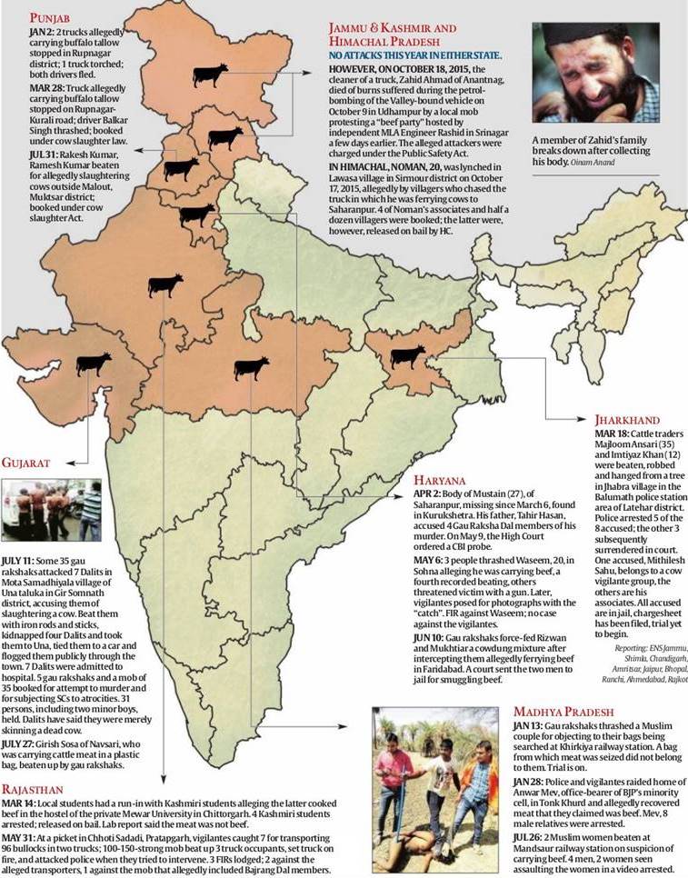 In the name of the cow: Murder, flogging, humiliation of Muslims ...