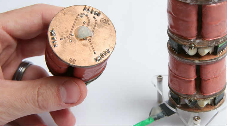 Scientists create soft robot powered by vacuum that can climb wall ...