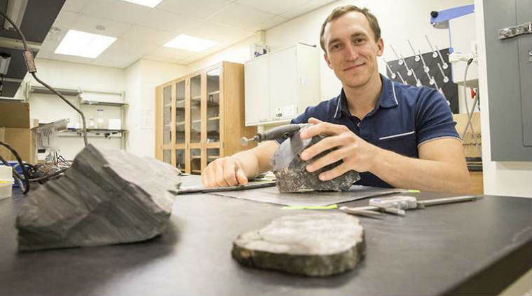 260 million-year-old fossilised trees unveil Antarctica’s forested past ...