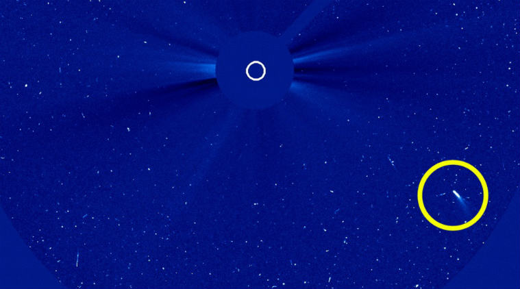 Recurring comet 96P spotted by NASA mission, ESA satellite | Technology ...