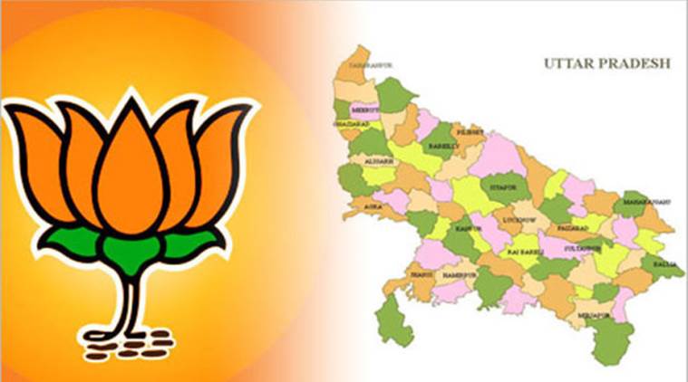 BJP will win Gujarat polls, rout Congress: Kumar Ashok Pandey | India ...