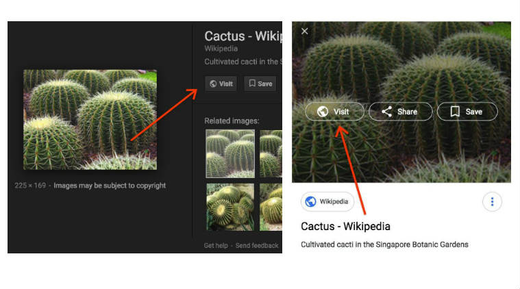 Google removes ‘View Image’ button from photos after copyright deal ...