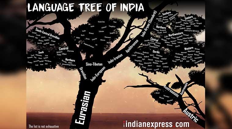 ‘There are 600 potentially endangered languages in India… each dead ...