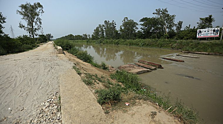 ‘Stone-pelting on bulls’ in Shamli: Farmers deny incident, blame stray ...