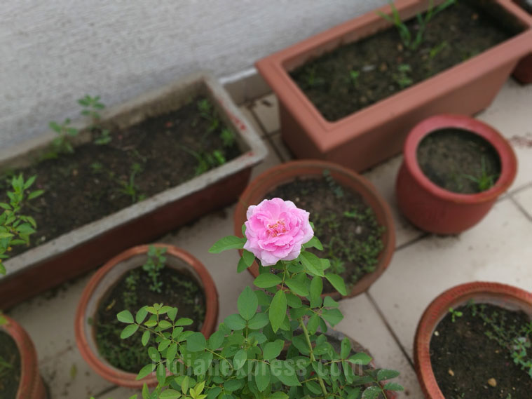 Samsung Galaxy A6+ review: Infinity display and selfie camera stand out ...