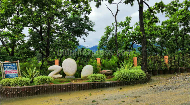 Huawei Nova 3 review: Stylish design, impressive cameras | Technology ...