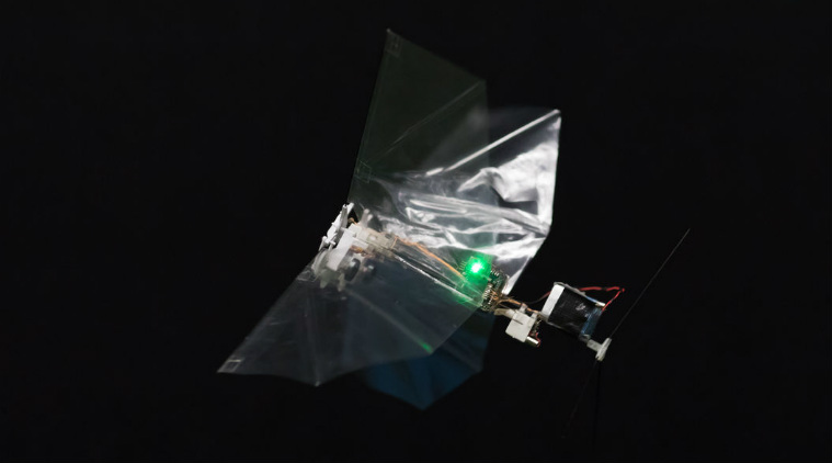 Novel insect-inspired flying robot developed | Technology News - The ...