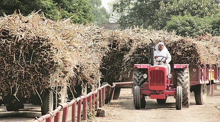 Sugarcane farmers target mill offices: Harvest, transport paralysed as ...