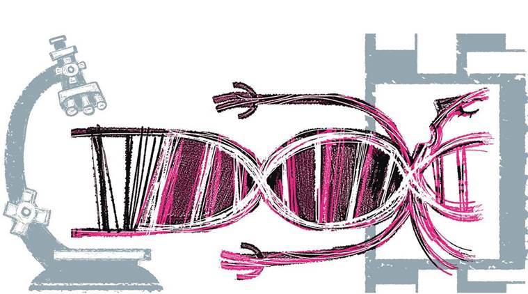 Novel DNA tool lets you trace your ancestry | Technology News - The ...