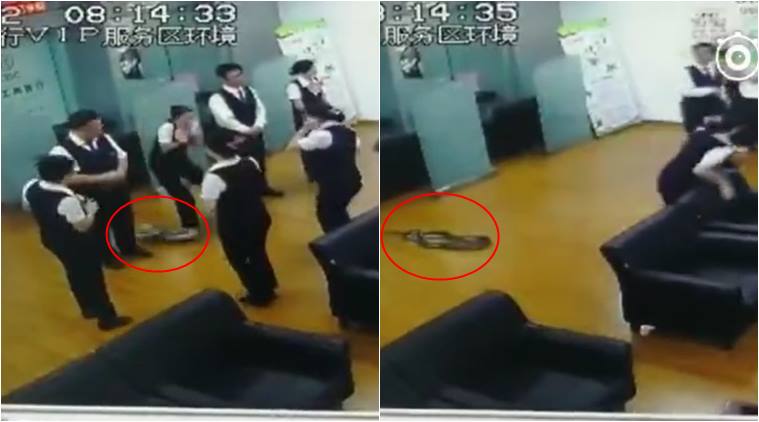 WATCH: Python falls through ceiling at a Chinese bank during meeting ...