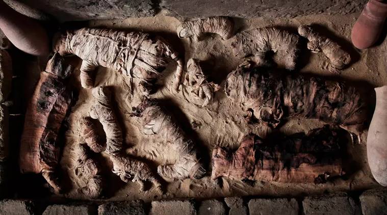 Dozens of mummified cats were found in a 4,500-year-old tomb near Cairo ...