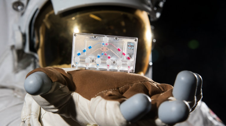 NASA to send organs-on-chips to space | Technology News - The Indian ...