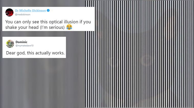 This is the latest optical illusion Netizens are obsessing over and it ...