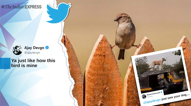 Ajay Devgn’s epic reply to Riteish Deshmukh’s hilarious post triggers ...