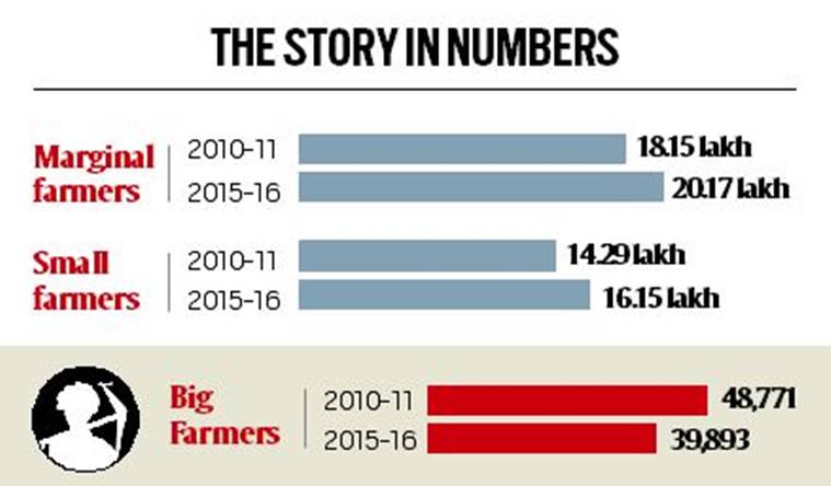 Rise in number of small & marginal farmers in Gujarat | Ahmedabad News ...