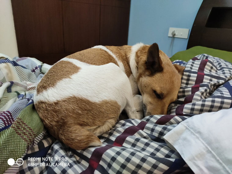 Redmi Note 7 Pro with 48MP camera: Here’s what we have learnt about the ...