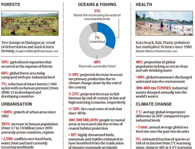 One million species face extinction: Why biodiversity report matters ...