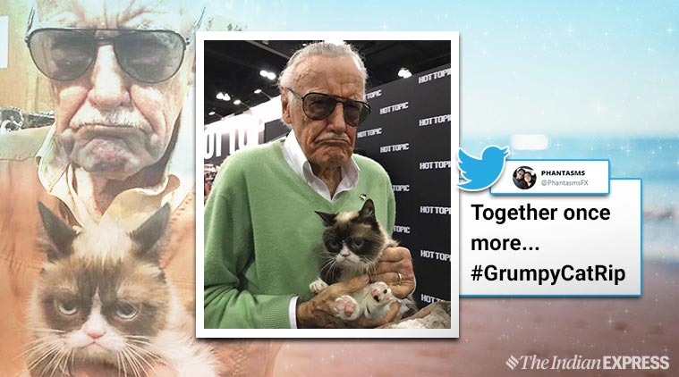 Netizens mourn the loss of Internet’s favourite Grumpy Cat | Trending ...