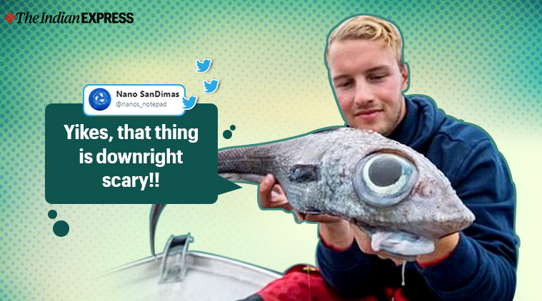 Fisherman snags ‘dinosaur-like’ fish with bulbous eyes off Norwegian ...