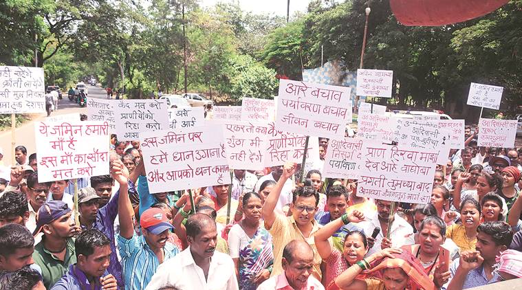 Uttarakhand rules make it tough to get forest tag, greens raise red ...