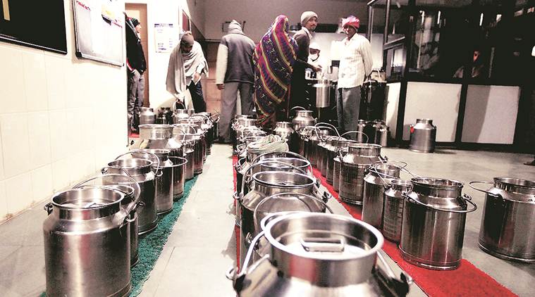 Agriculture and nutrition: The way forward in milk fortification ...