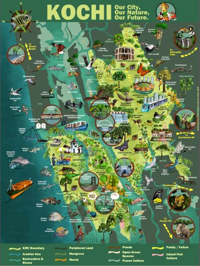 Kochi’s natural assets map gives a glimpse of city’s ecological ...