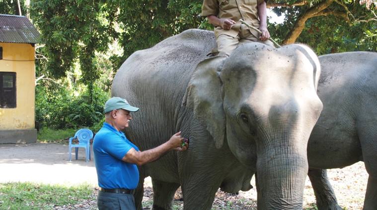 Assam’s ‘elephant doctor’ awarded Padma Shri: ‘This land belongs to the ...