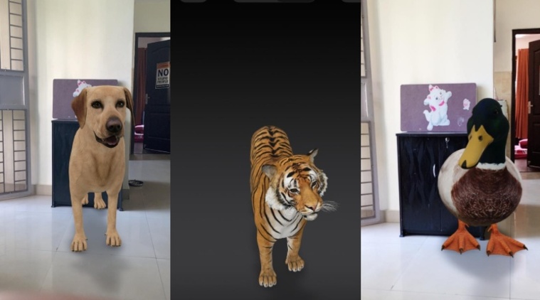 How to watch Google 3D animals [Step-by-step guide] | Technology News ...