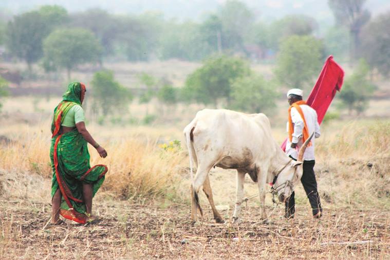 Author Gunjan Veda on her latest book and documenting the art and music ...