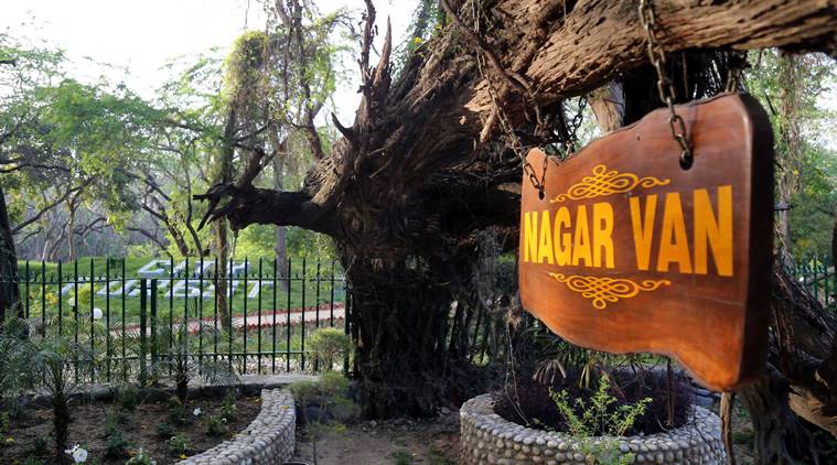 Chandigarh administration stops construction of exotic bird aviary at ...