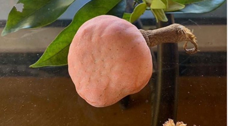 Tried ramphal? Here are some reasons to have this fruit | Health News ...