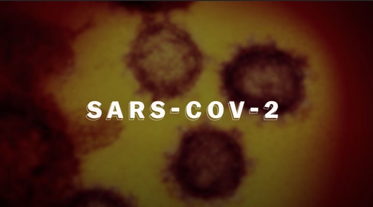 Coronavirus, Explained review: A cogent, concise explainer of the COVID ...