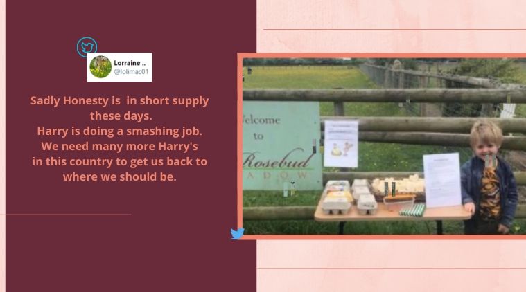 Netizens rally support after 5-year-old’s honesty shop gets robbed in ...