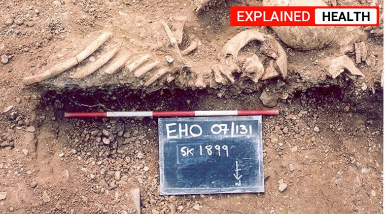 Explained: What new research on smallpox tells us about its origins ...