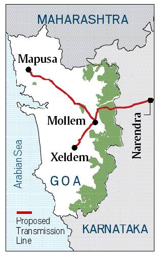 Red flags over forest stretch, power line from Raipur to Goa on pause ...