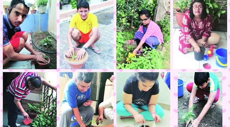 Tree Plantation Day: Special children plant trees in Chandigarh ...