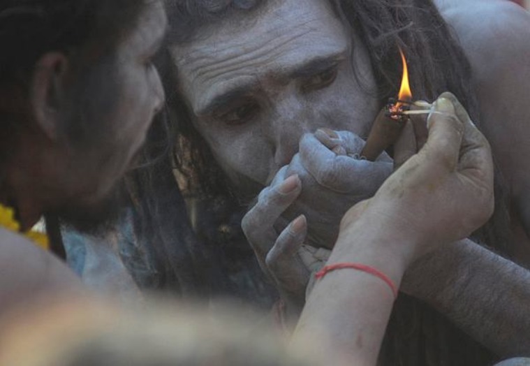 Cannabis in India: A rather long story, with its highs and lows ...